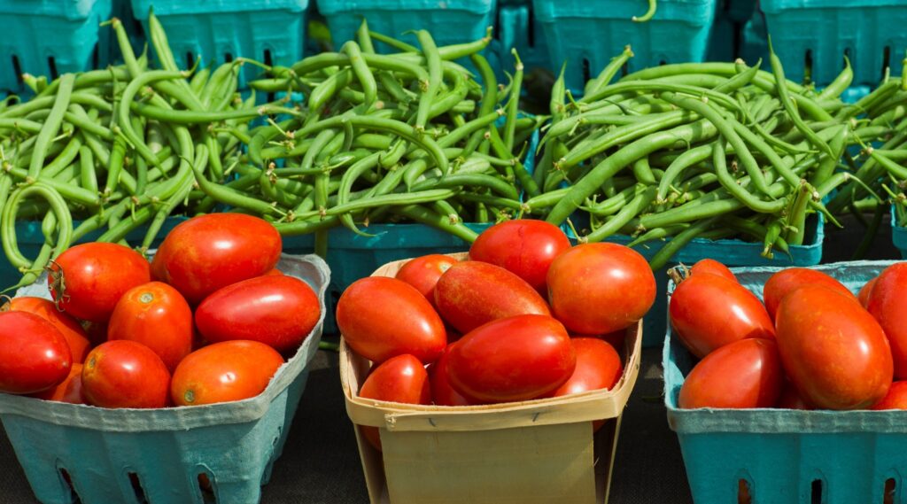 solution to food waste - WORLD 4 GOOD